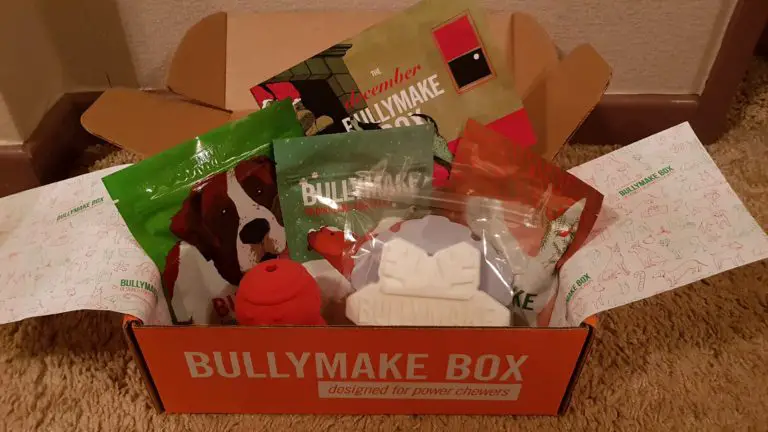 Bullymake Box Review - My Thoughts After Testing It With My Huskies!